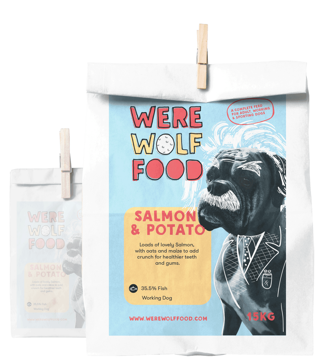 15KG - Salmon & Potato - Adult Dog Food | werewolffood.com – Were Wolf Food
